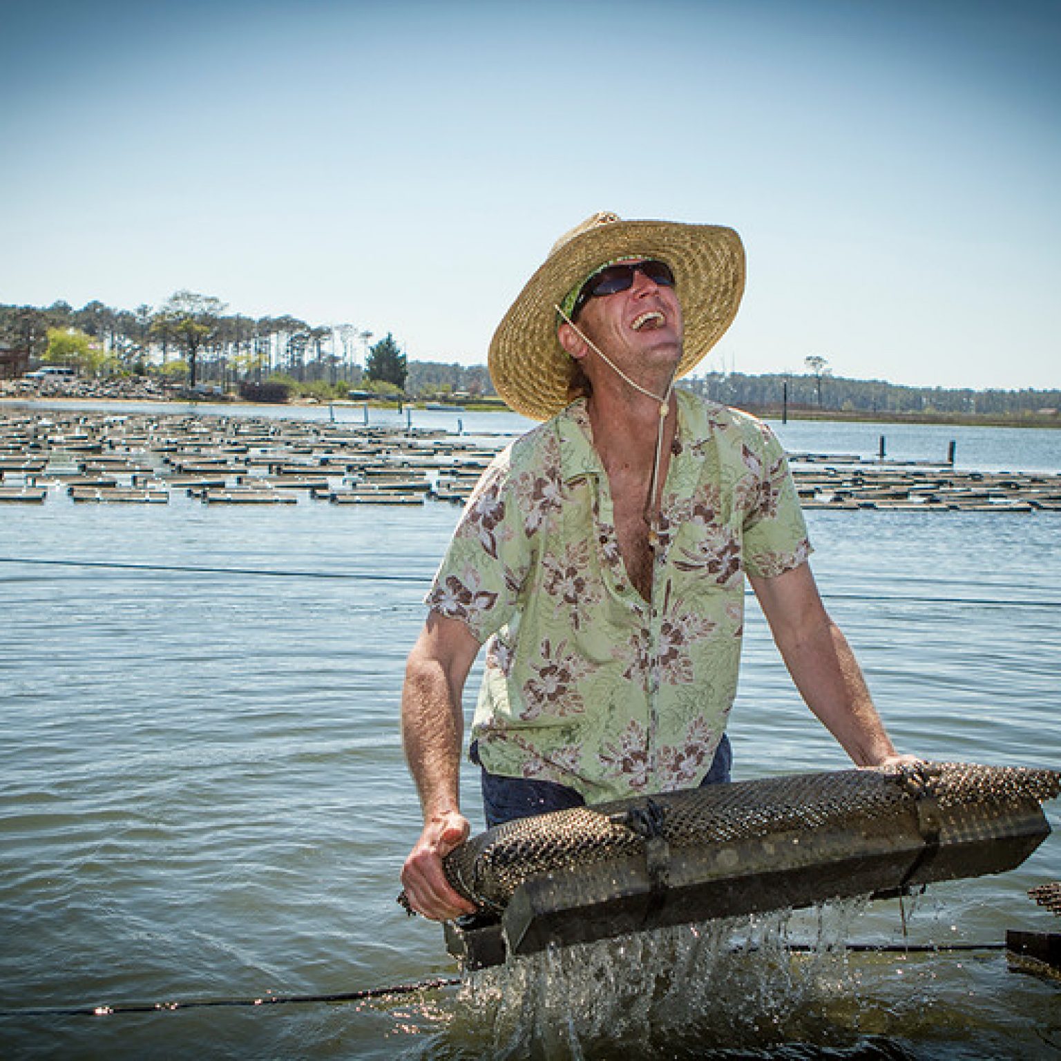 big island man in water with oysters - Virginia's River Realm