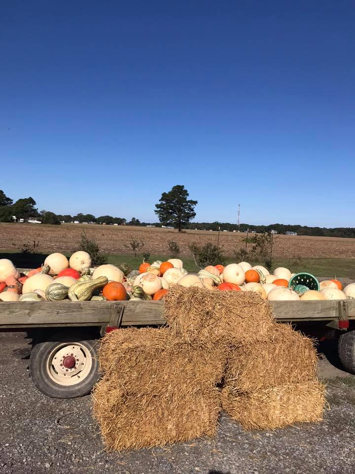 Merryvale Farm - Virginia's River Realm