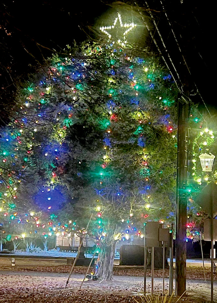 1-Illuminate-Irvington - Virginia's River Realm