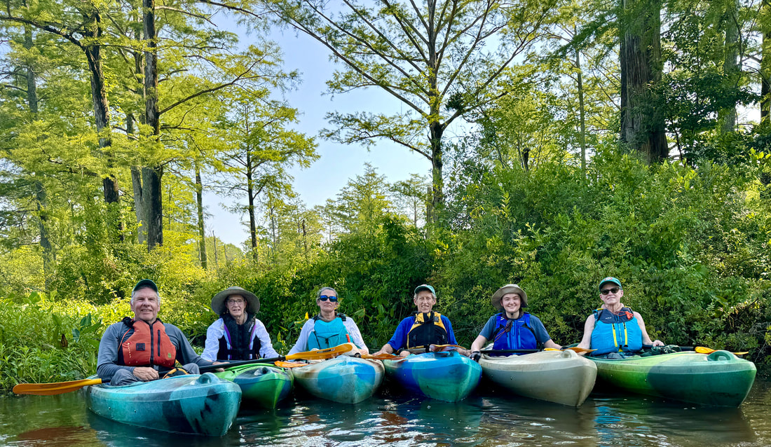 Explore the Dragon Run - Virginia's River Realm